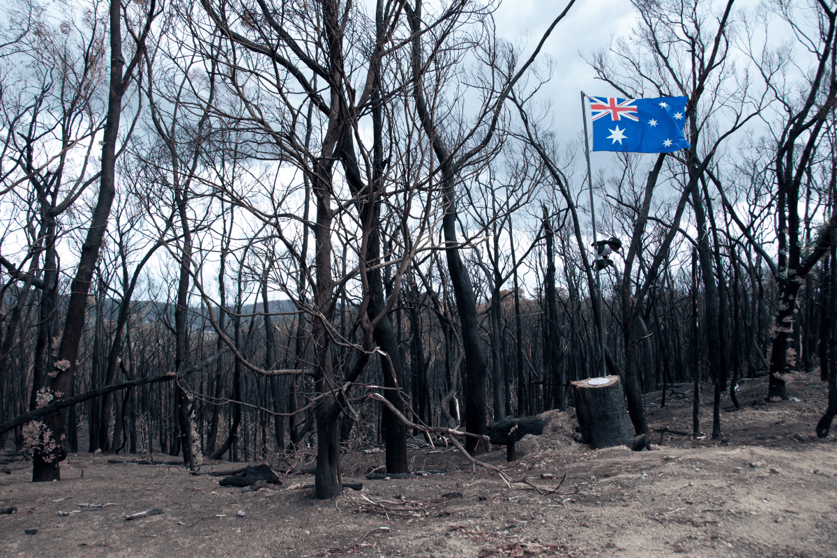 18 Worst Natural Disasters in History: A Grim Countdown