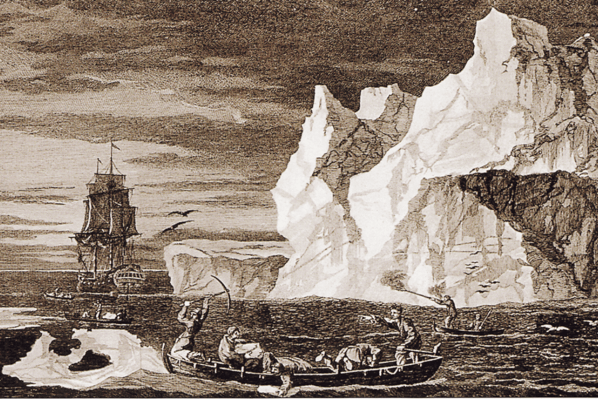 10 Mind-Blowing Facts About James Cook